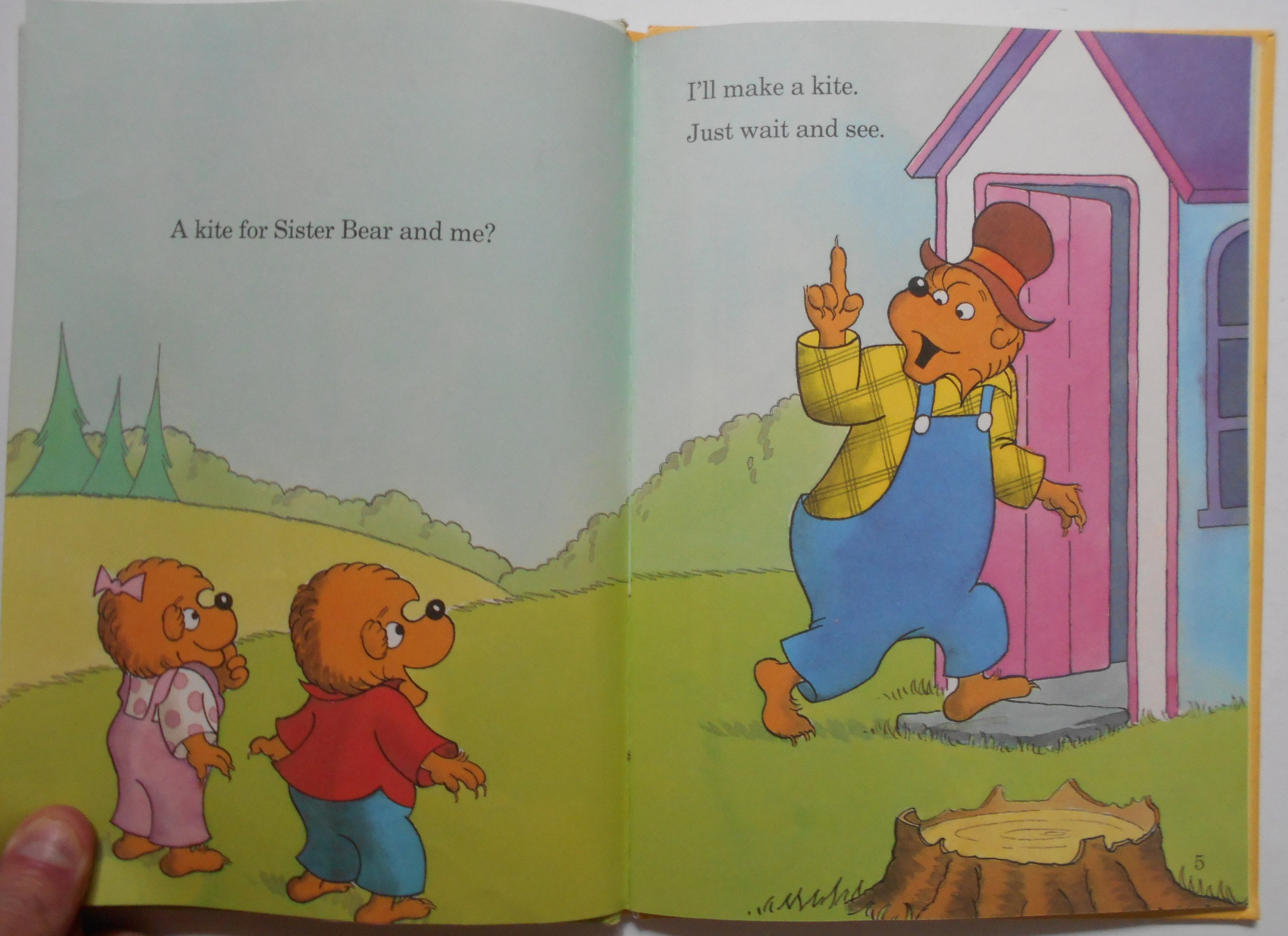 Berenstain Bears: the Big Red Kite, by Stan and Jan Berenstain Hardback ...