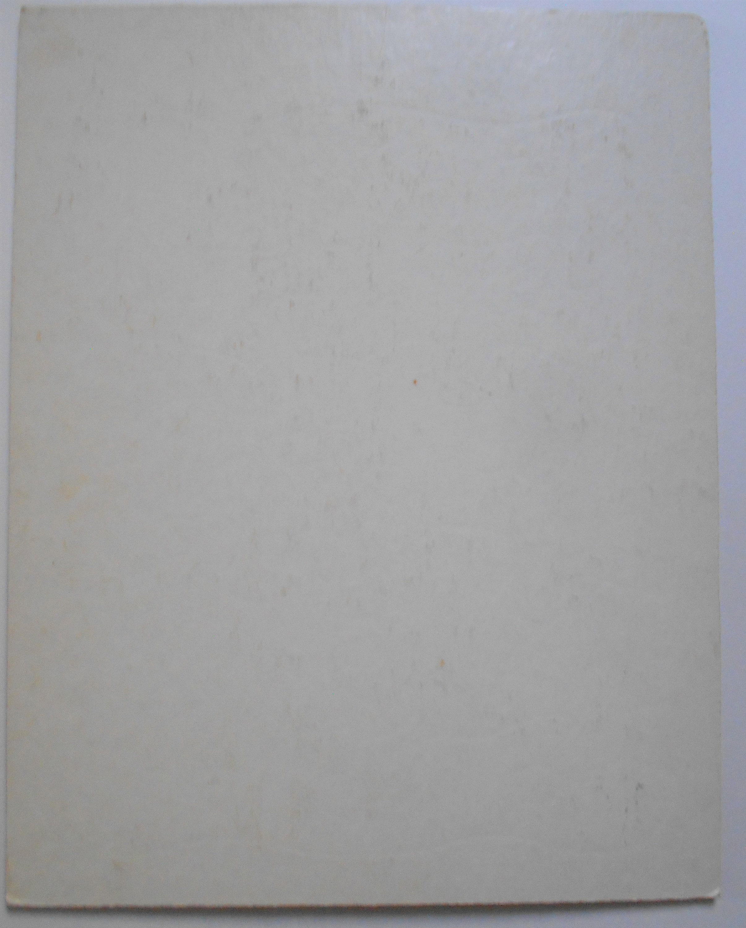 Chip 'n Dale Rescue Rangers Frame Tray Puzzle - Etsy