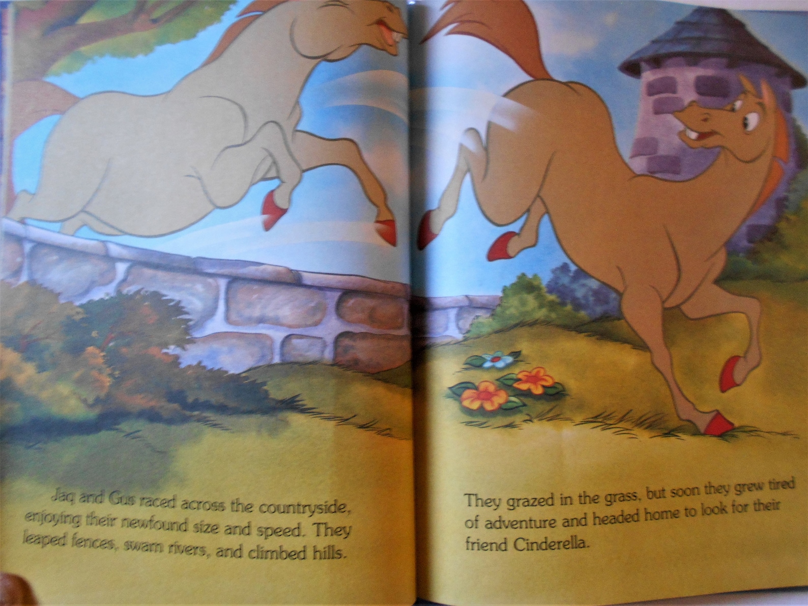 Cinderella: the Runaway Wand by Ronald Kidd - Disney's Storytime ...