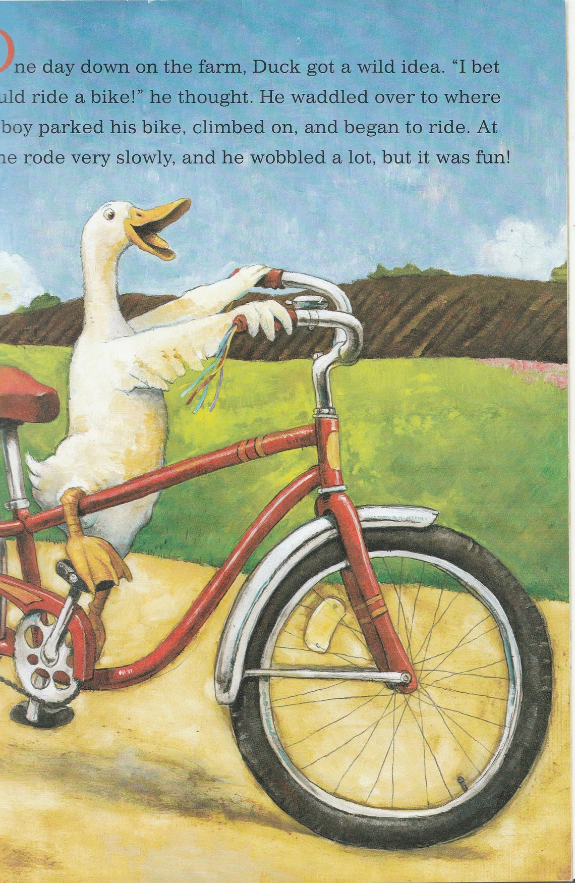 Duck on A Bike by David Shannon Vintage Children's Book - Etsy