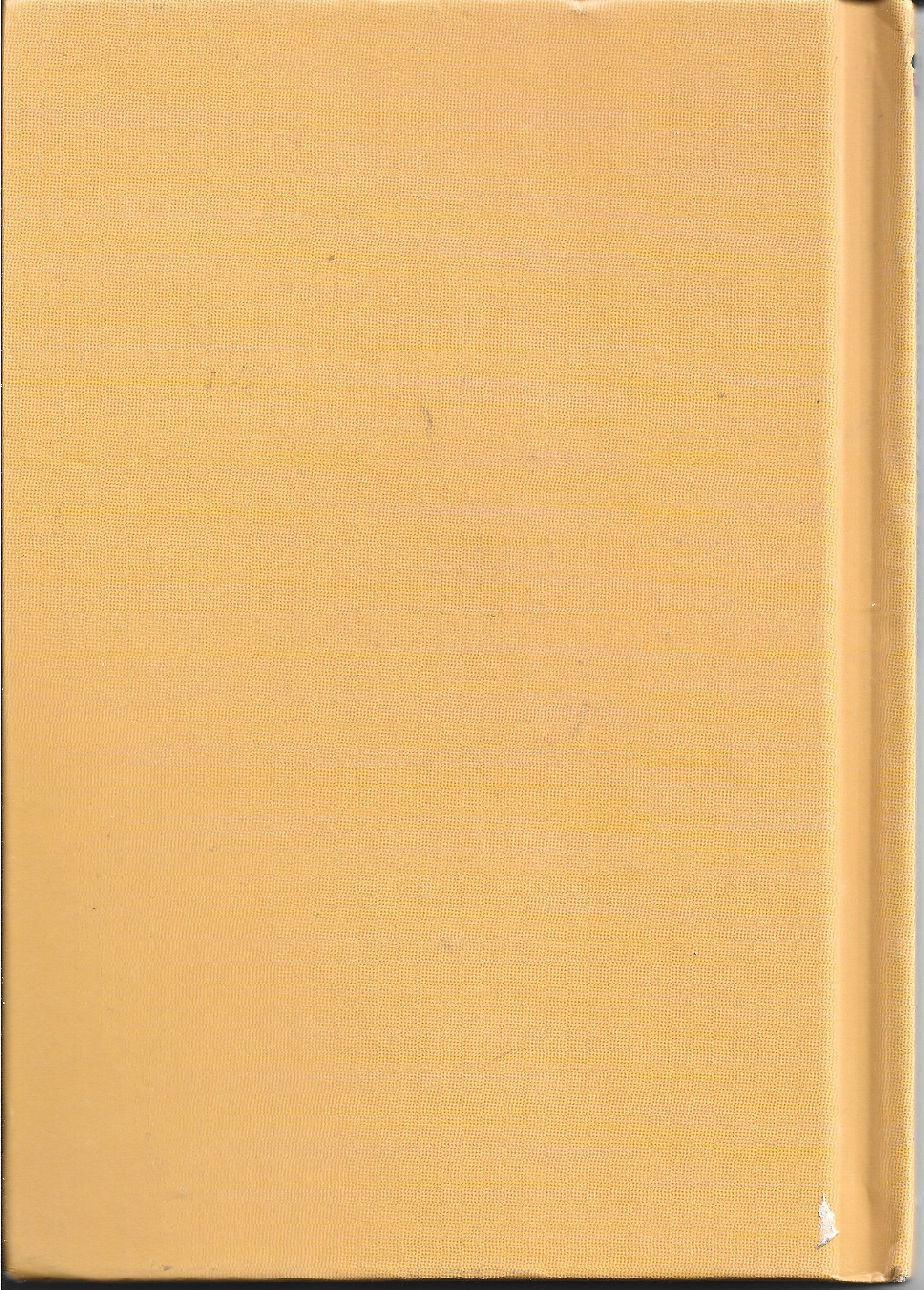 Disney's Quasimondo to the Rescue - Wonderful World of Reading Hardback ...