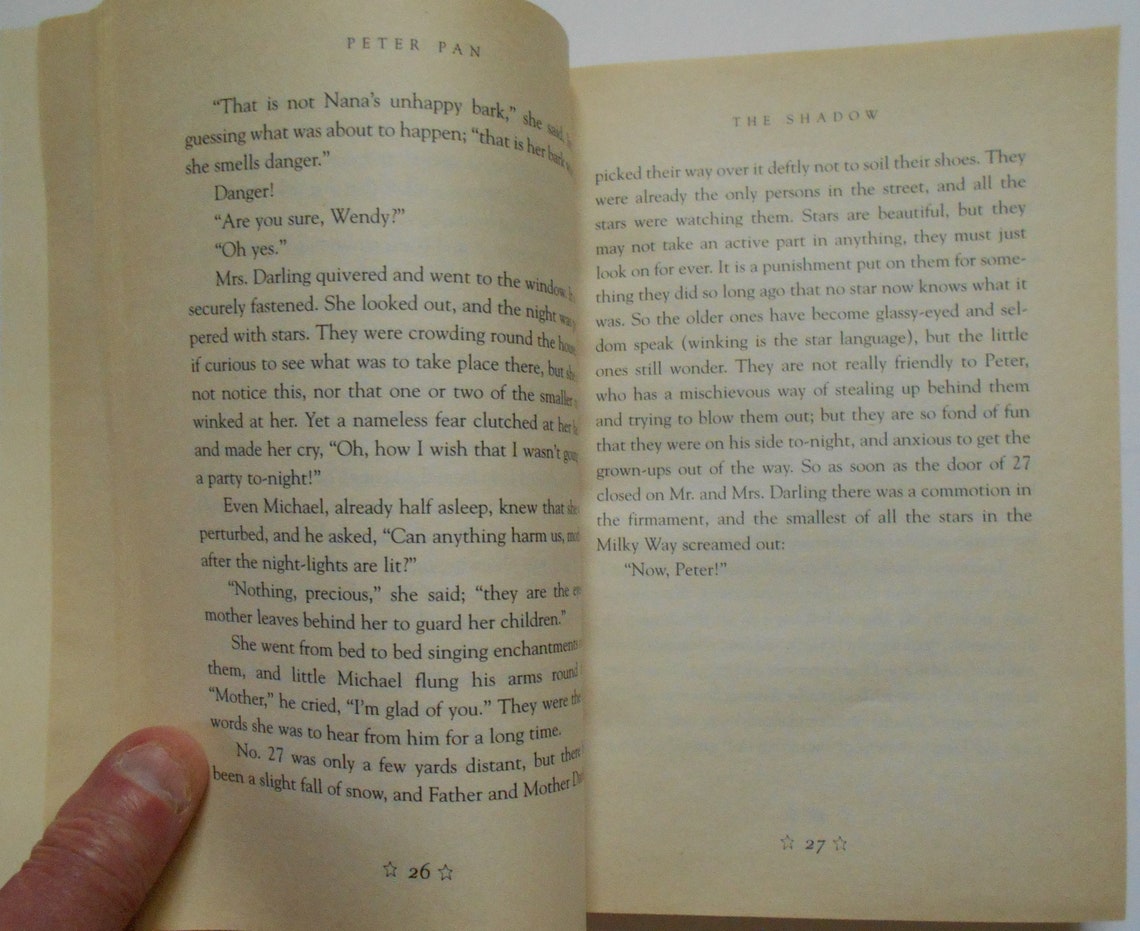 Peter Pan by J.M. Barrie Charming Classics Paperback Book - Etsy