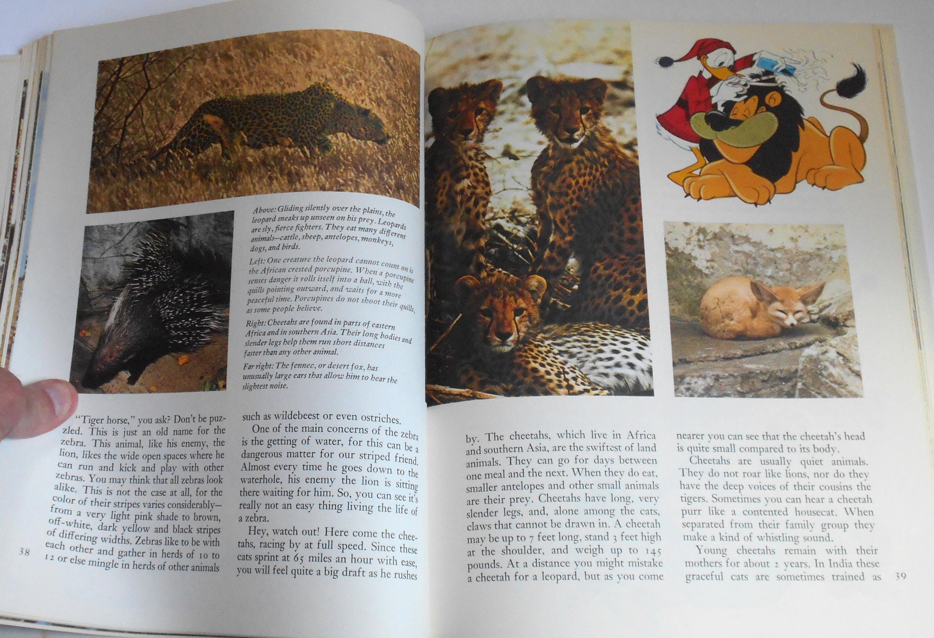 Disney's Wonderful World of Knowledge: Animals * A Child's Hardback Encyclopedia Book 1973 - Etsy