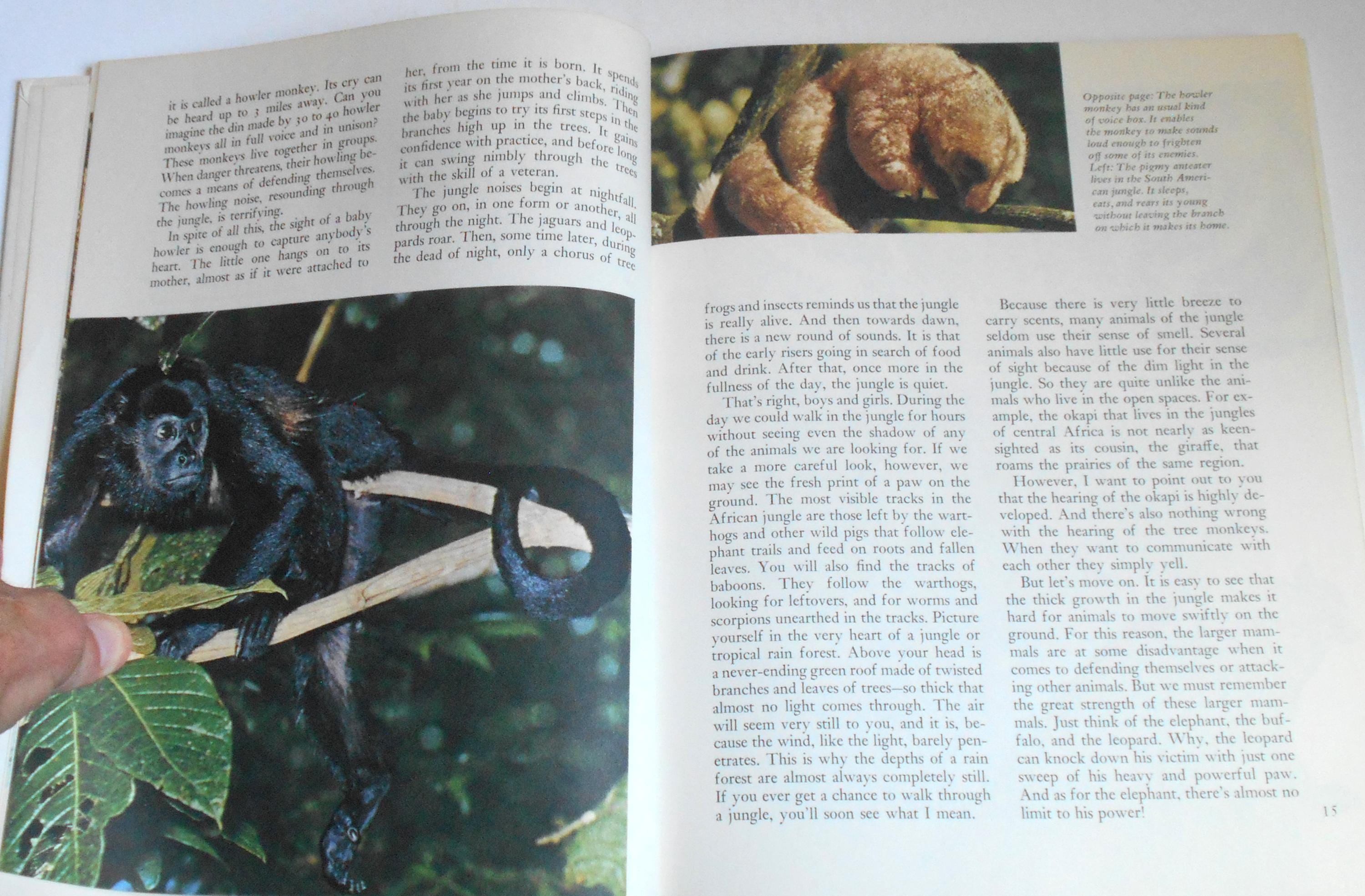 Disney's Wonderful World of Knowledge: Animals * A Child's Hardback Encyclopedia Book 1973 - Etsy