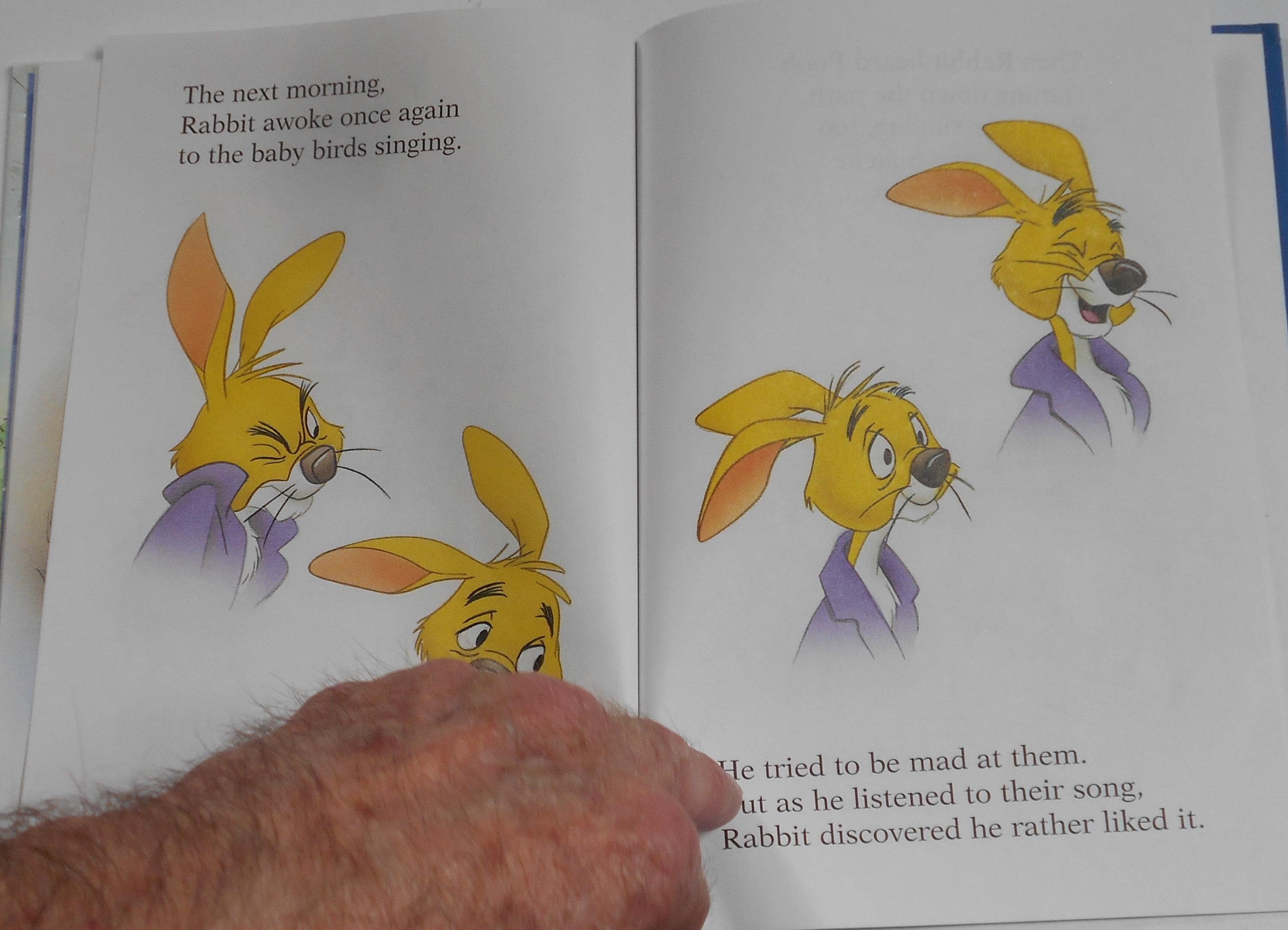 Disney's Winnie the Pooh: Pooh's Wake-up Song * Scholastic Hardback ...
