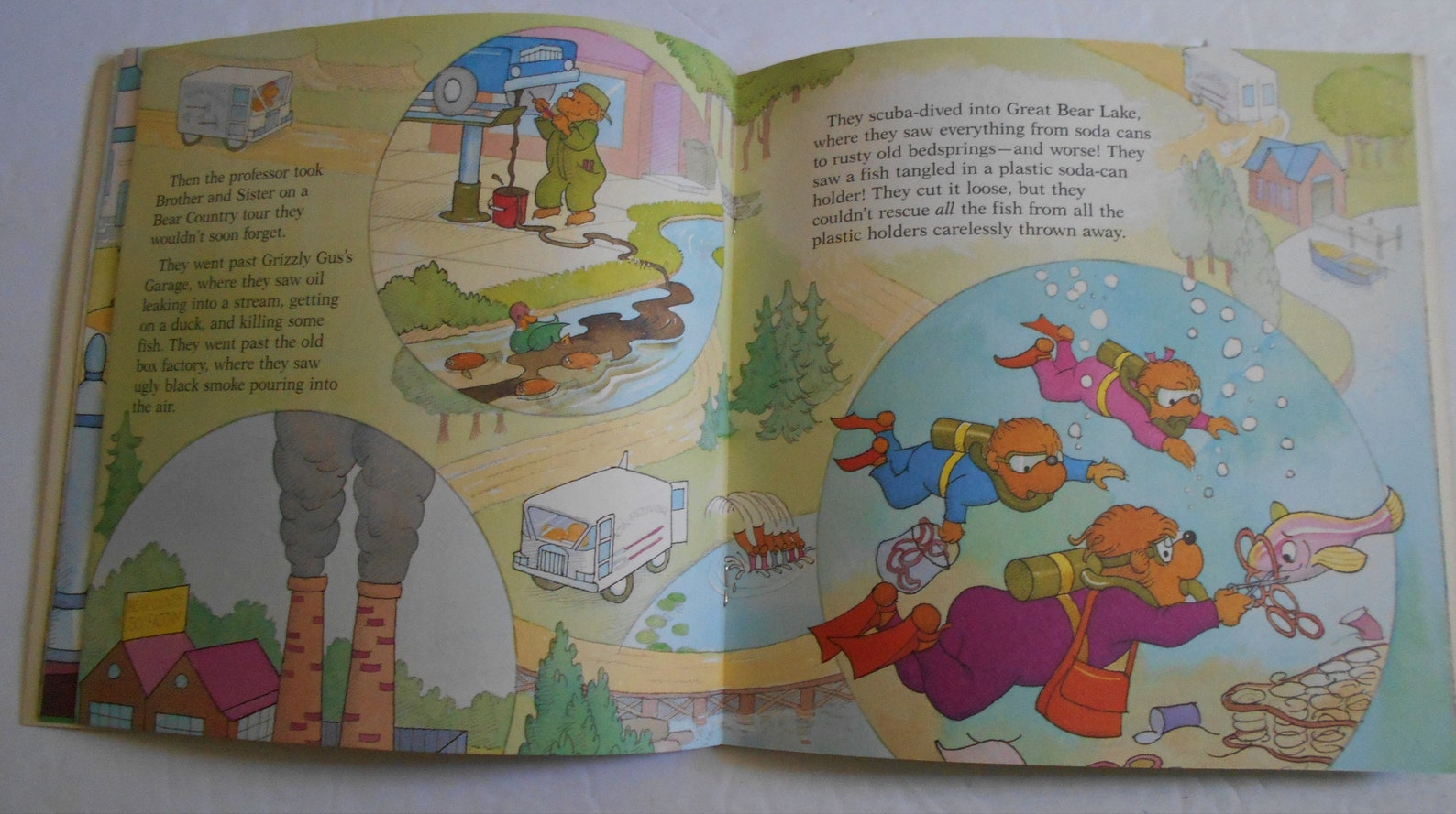 4 Berenstain Bears Paperback Books: Don't Pollute - Etsy