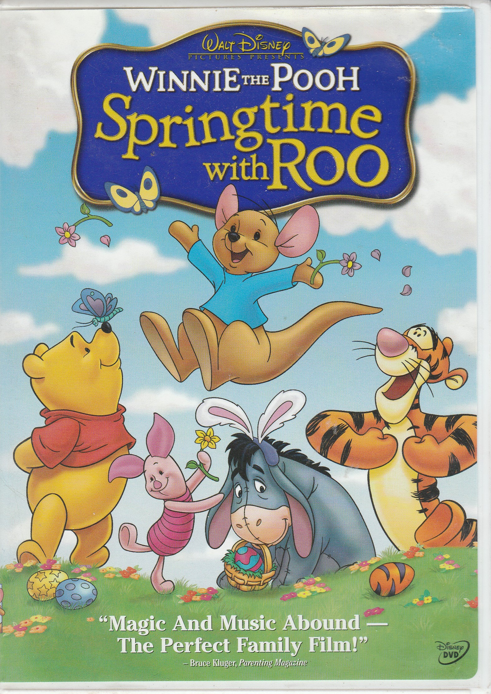 Walt Disney's Winnie the Pooh Springtime With Roo DVD - Etsy