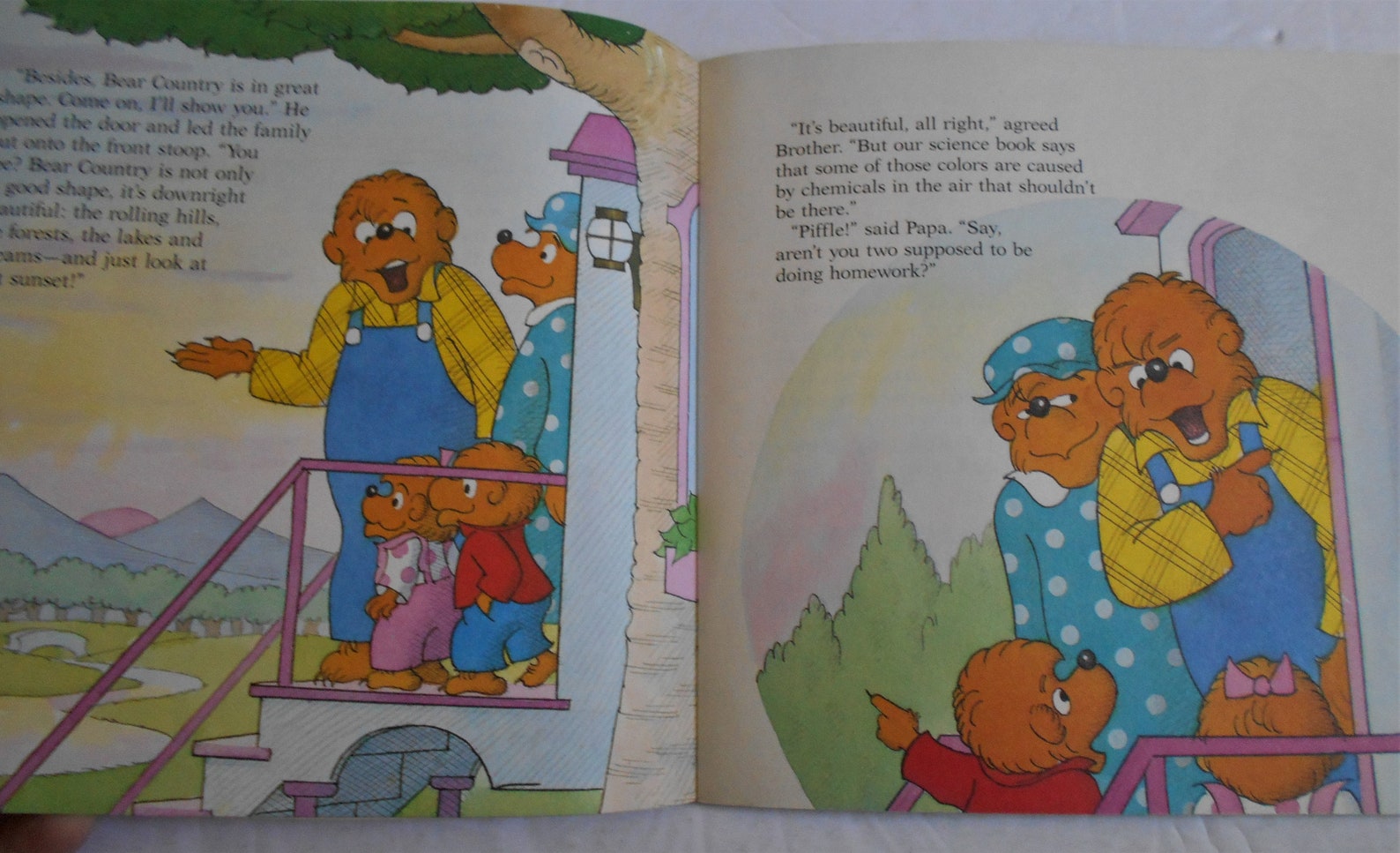 4 Berenstain Bears Paperback Books: Don't Pollute - Etsy