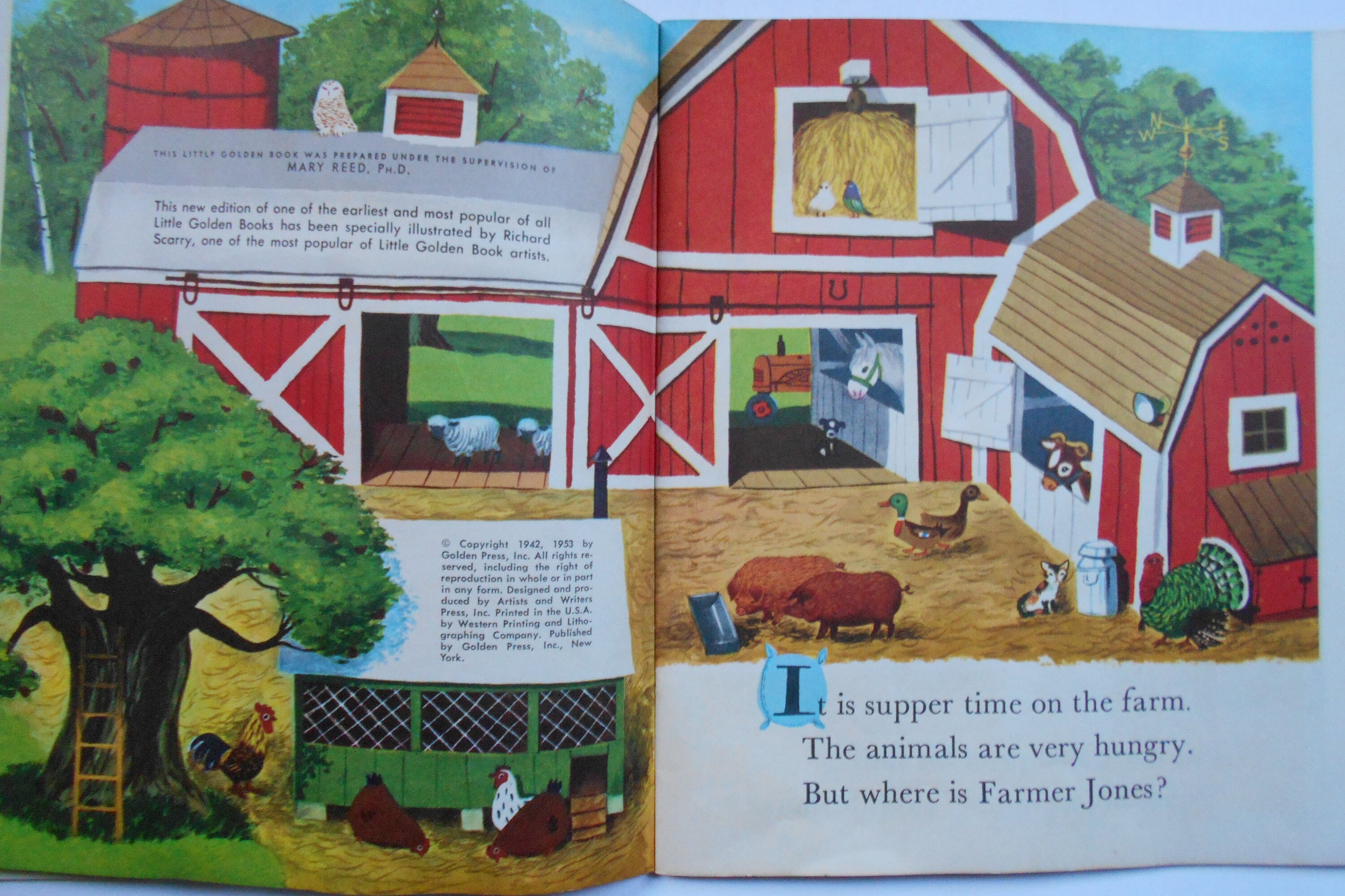The Animals of Farmer Jones - Little Golden Book and Record Set - Etsy
