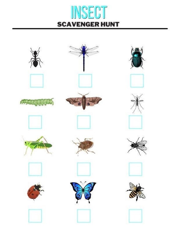 Printable Insect Scavenger Hunt for Kids Full Color Trail - Etsy Singapore