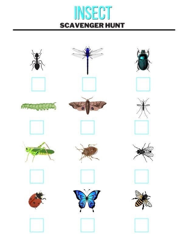 Printable Insect Scavenger Hunt for Kids Full Color Trail - Etsy