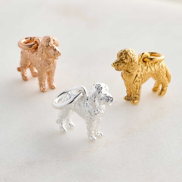 Labradoodle Gifts - 60+ Gift Ideas for 2023