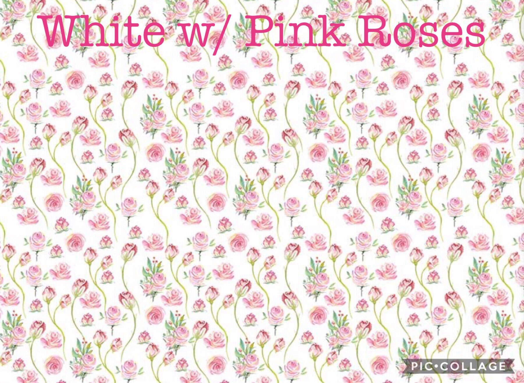 Floral Steamboat Decals, Wyoming Bucking Horse, UW, Cowboys ...