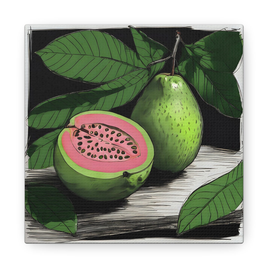 Guava Watercolor Guayaba Fruit Painting Guava Art Guava - Etsy