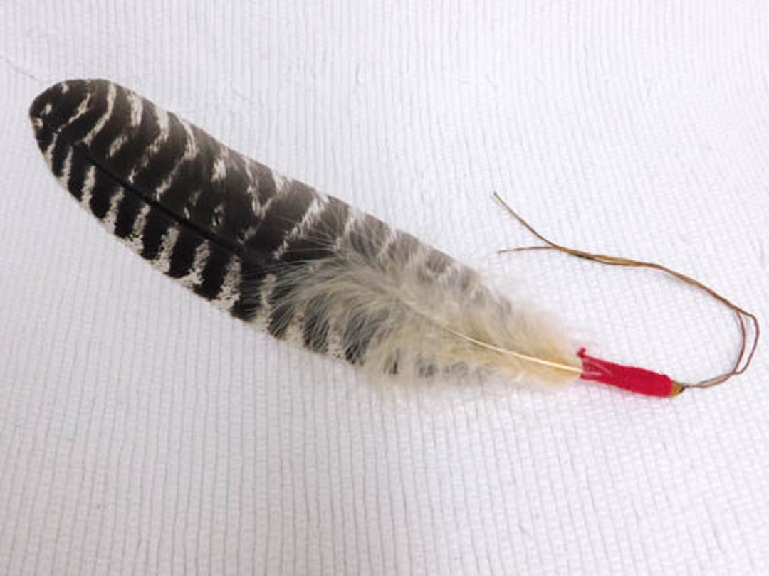Native American Navajo Made Prayer Feather With Red Wrap--wb33a - Etsy