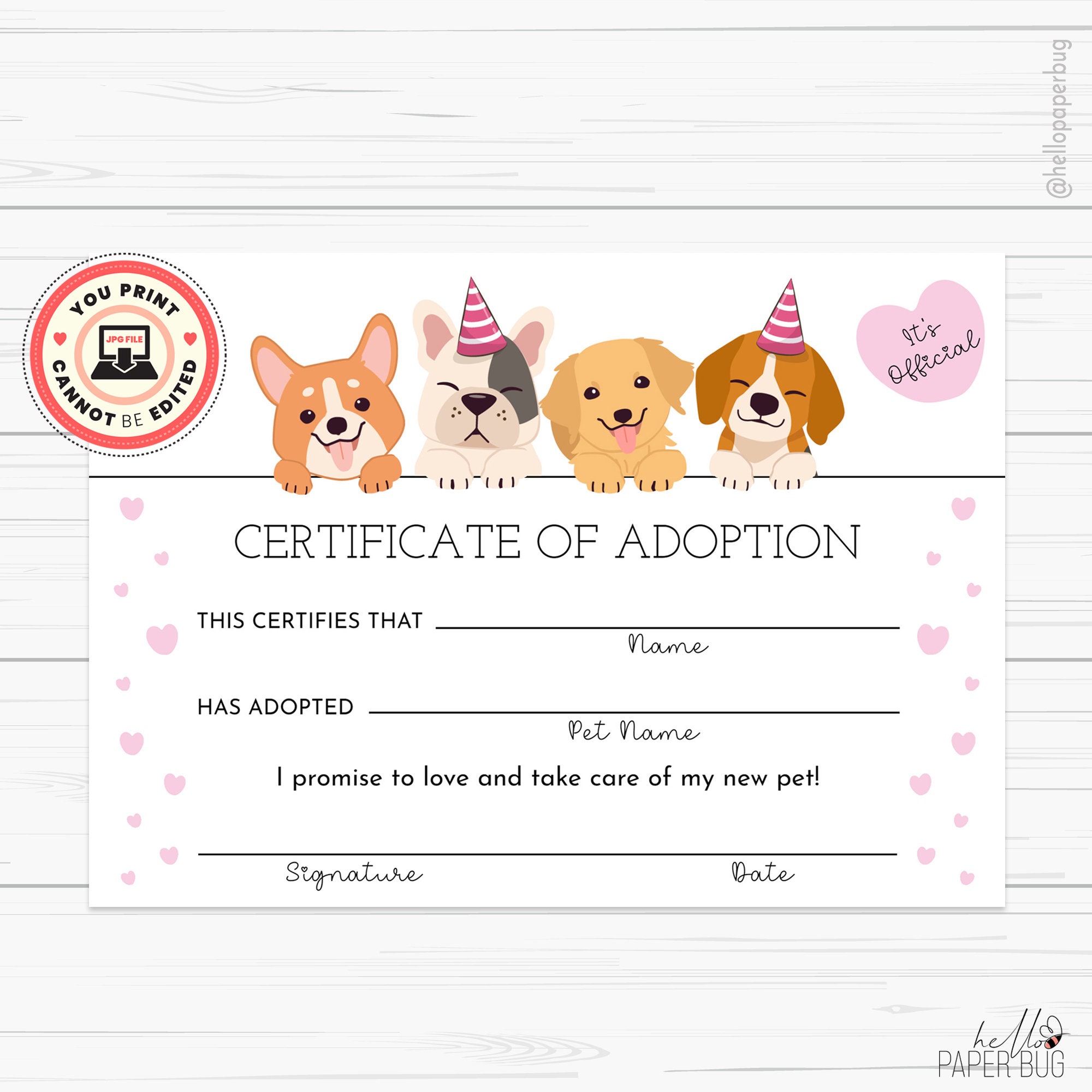 Toy Adoption Certificate Template