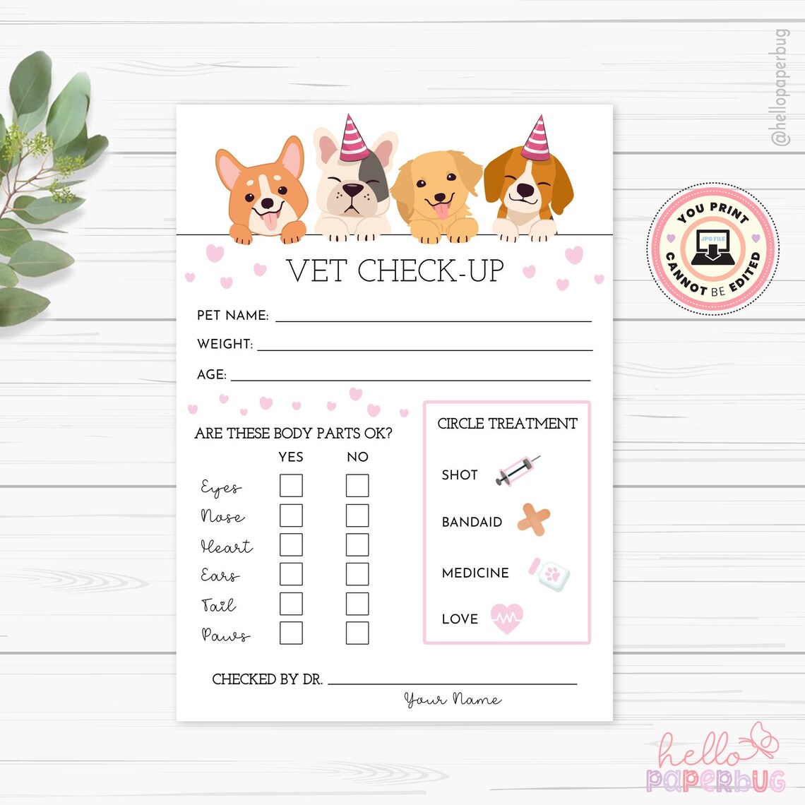 Vet Check up Exam Sheet Pet Check-up Lets Pawty Dog Birthday - Etsy