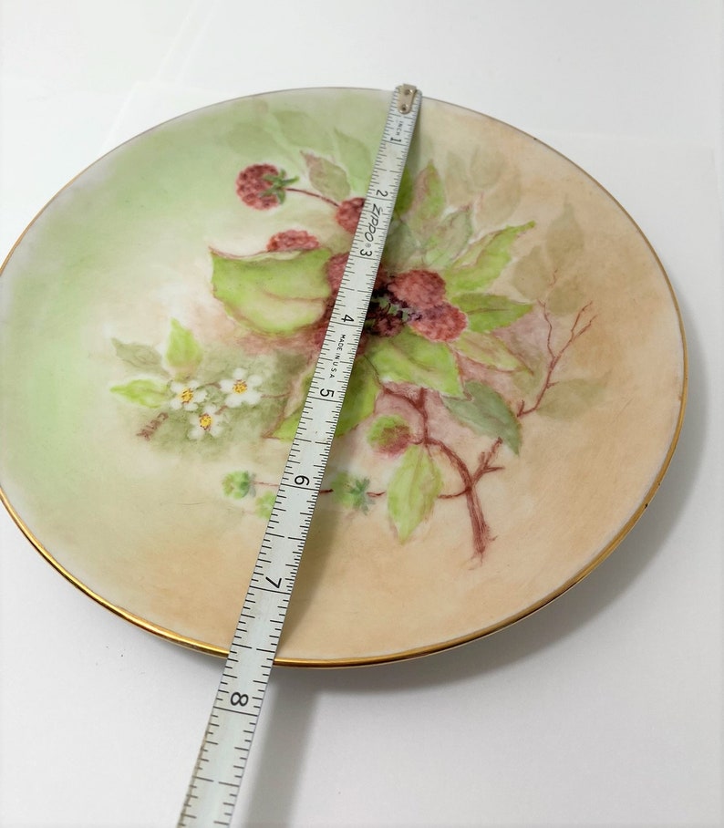 Antique Vintage Bavaria Plate Hand Painted Raspberries Floral - Etsy