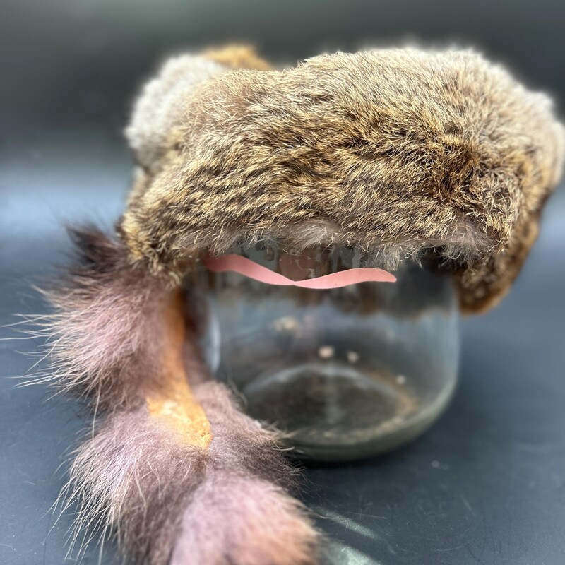 Coonskin Hat - Etsy