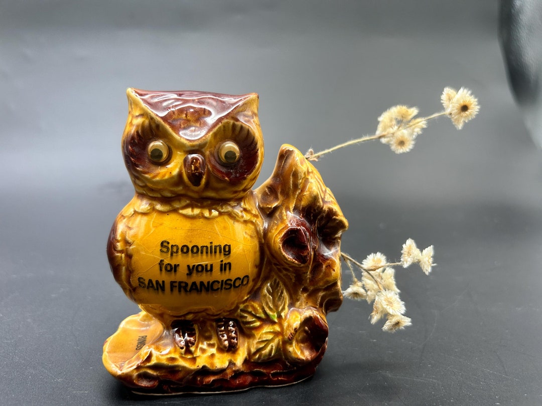 Vintage Ceramic Owl Measuring Spoon Holder - San Francisco Souvenir - Etsy