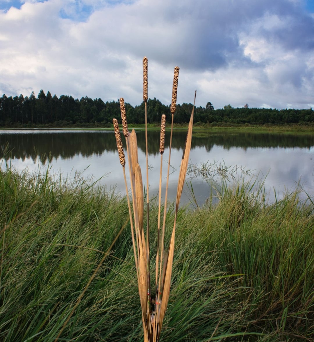 Cattails, 5 Flower, 3 Leaves Set - Etsy