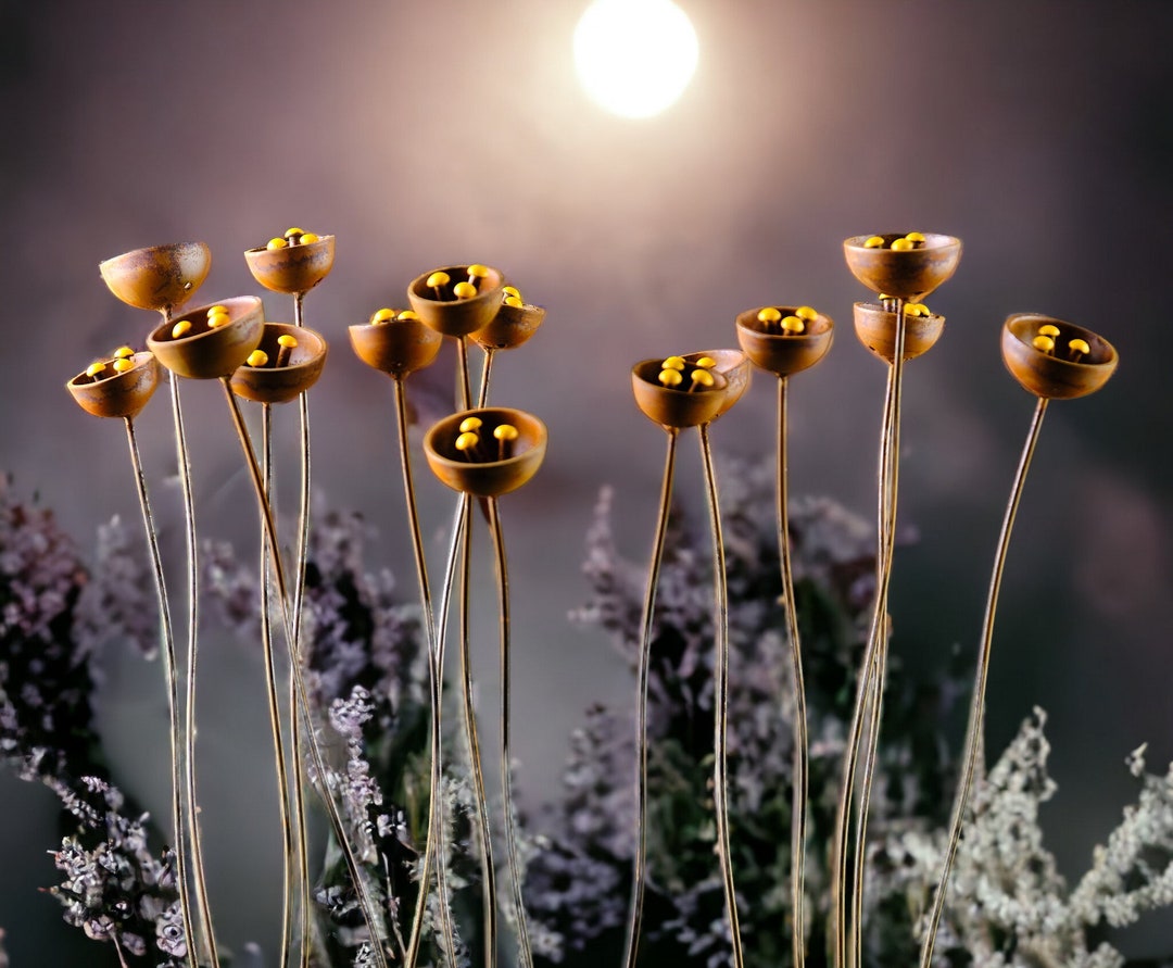 Butter Cup Flowers - Etsy