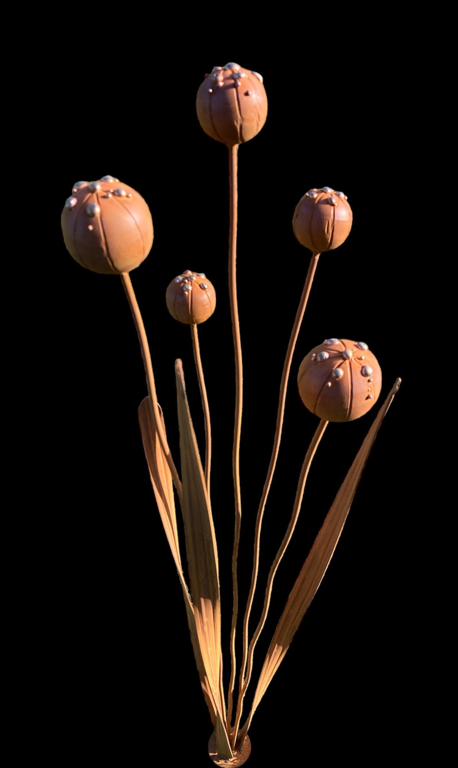 Poppy Pod Cluster - Etsy