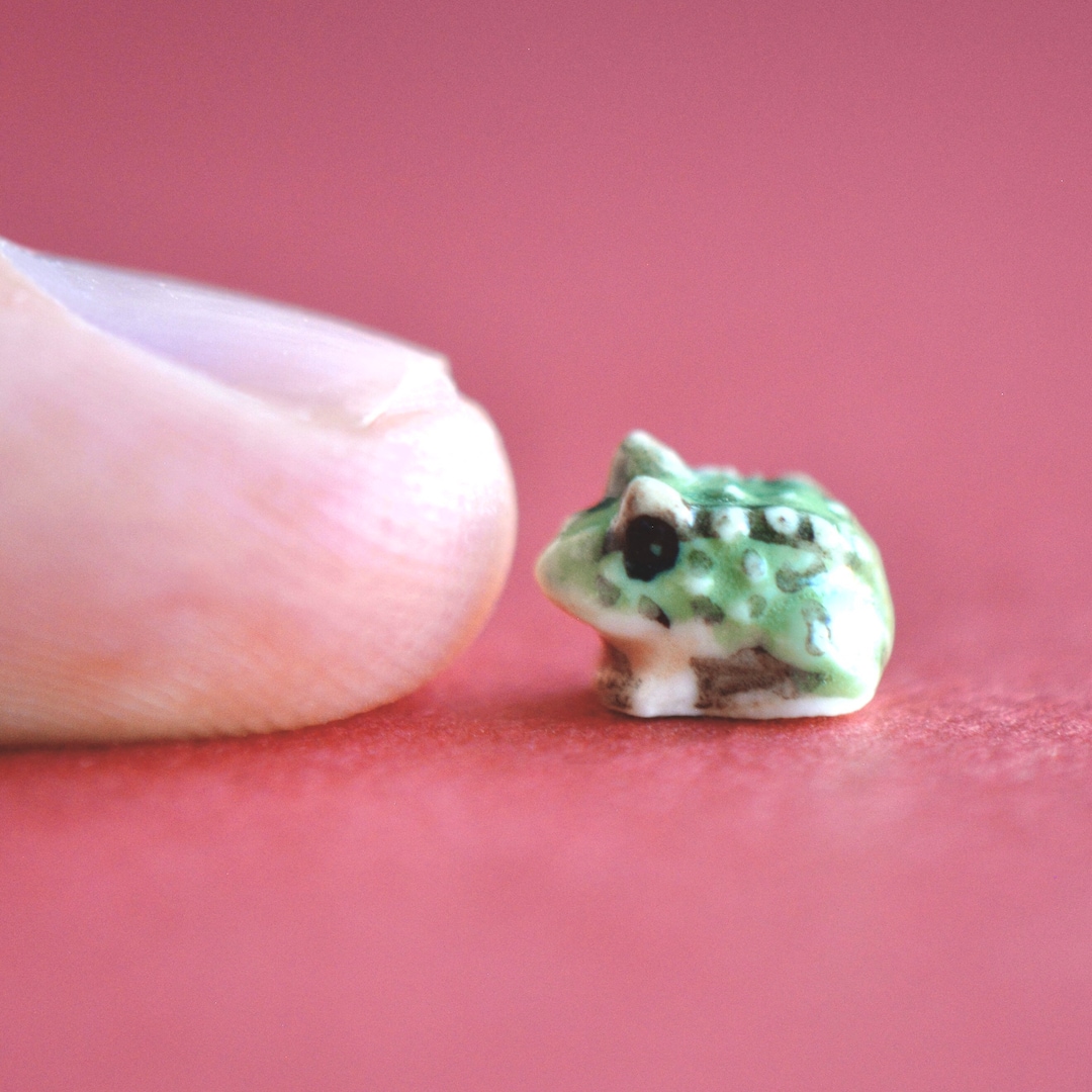 World's Tiniest Toad Figurine | Miniature Hand-painted Porcelain ...