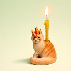 Maine Coon Cake Topper - Etsy