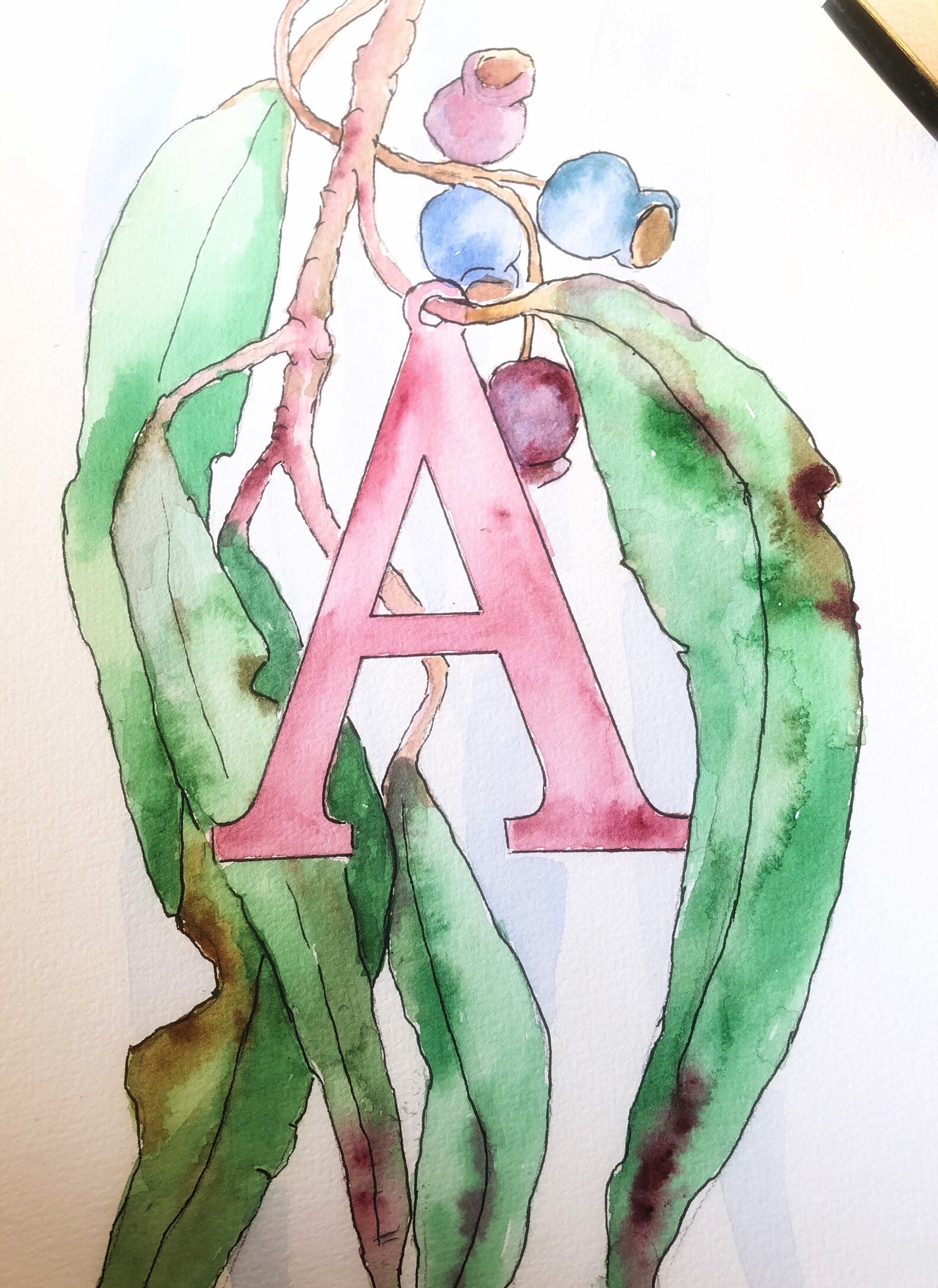 Original, Hand Painted Watercolour of Gumnut A for Anna, Arabella ...