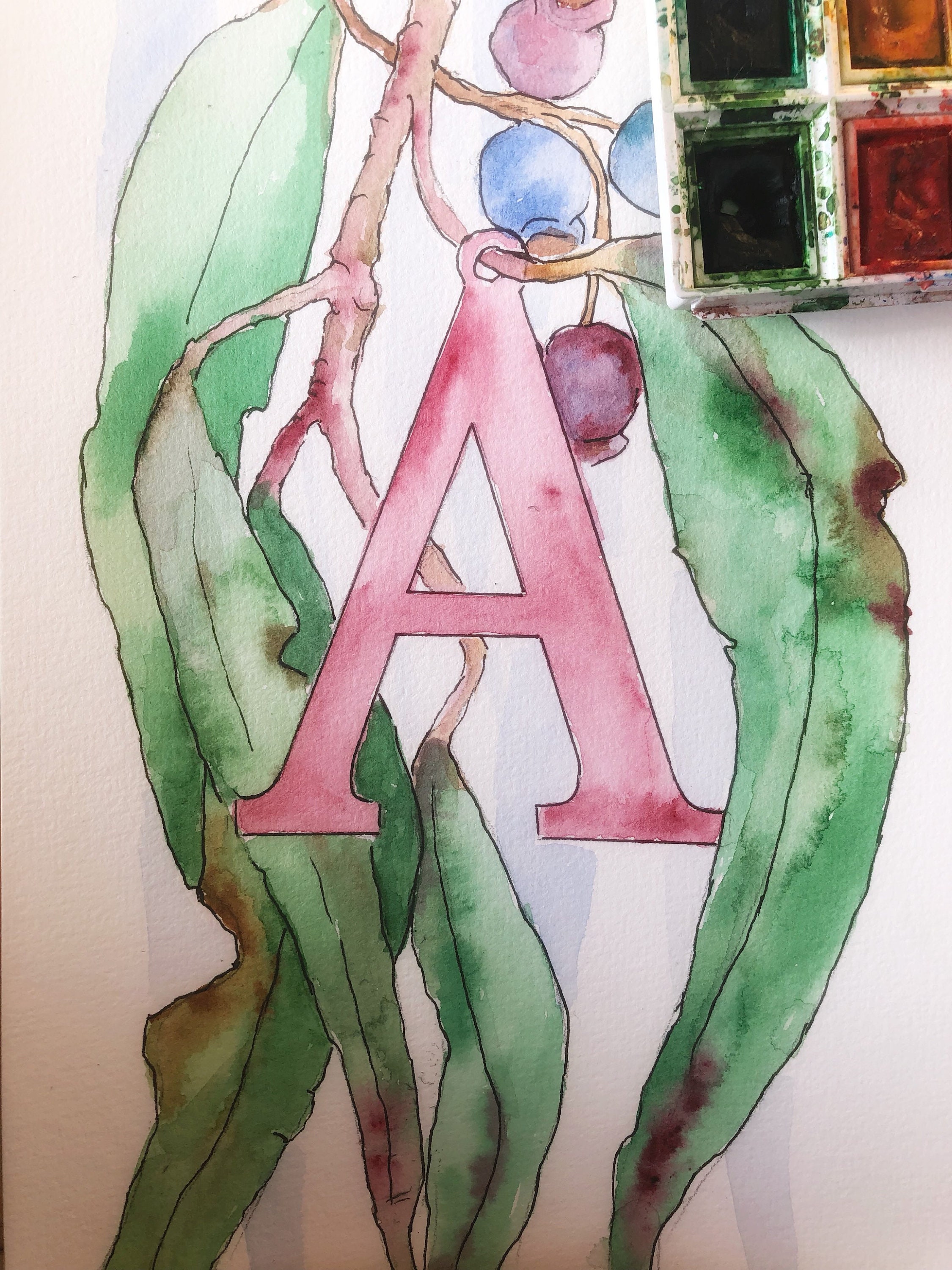 Original, Hand Painted Watercolour of Gumnut A for Anna, Arabella ...