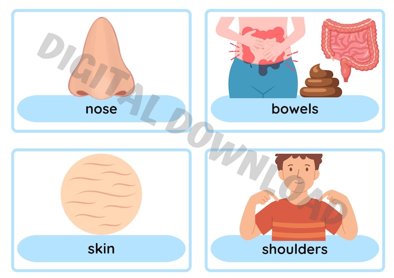 Interoception/body Awareness Cards - Therapeutic Resource for Children ...