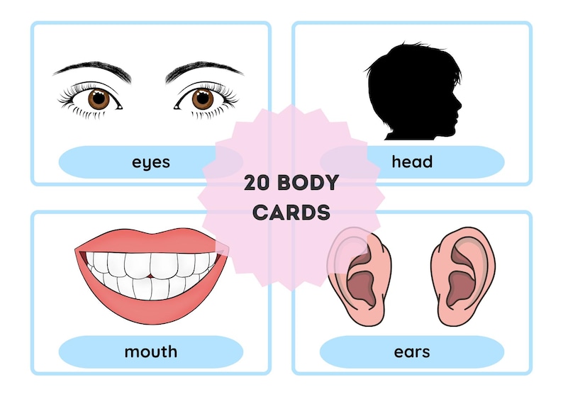 Interoception/body Awareness Cards - Therapeutic Resource for Children ...