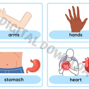 Interoception/body Awareness Pack Therapeutic Resources for Children to ...