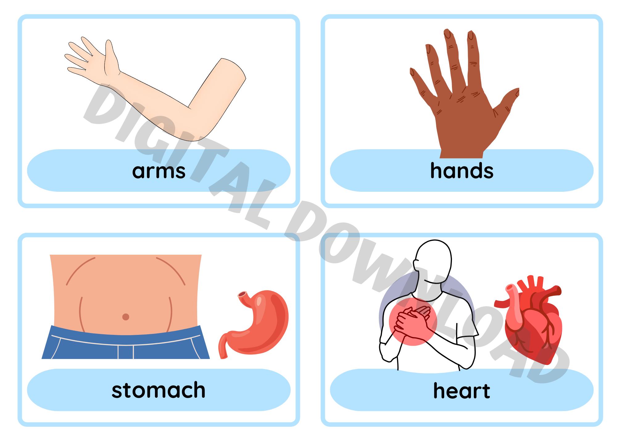 Interoception/body Awareness Cards - Therapeutic Resource for Children ...