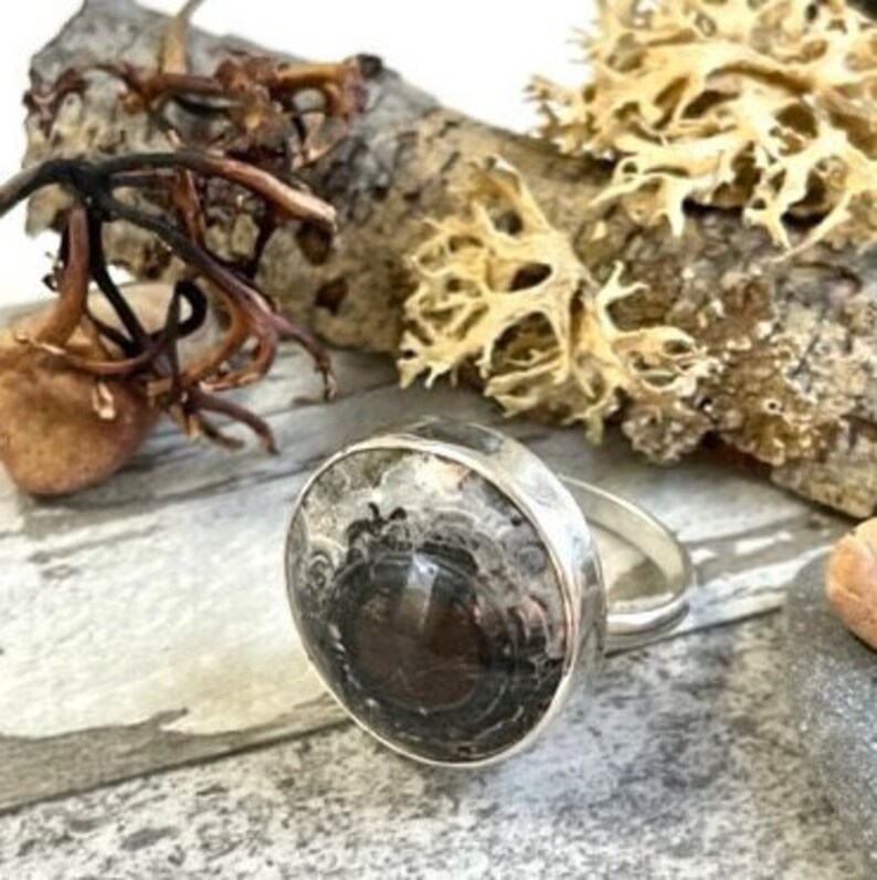 Galaxy Rhyolite Ring Round Statement Ring - Etsy