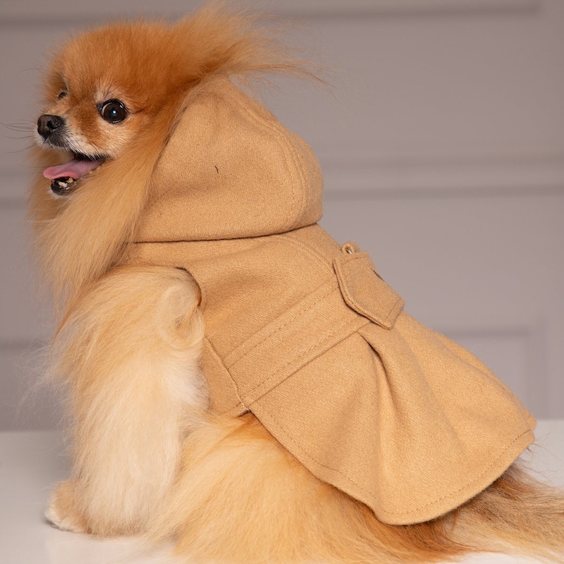 Cute Dog Clothes - Etsy