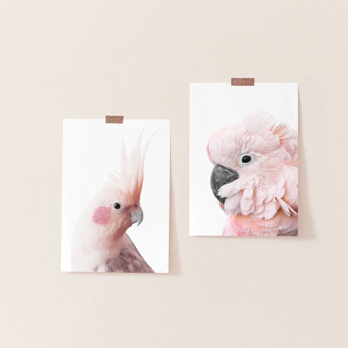Cockatoo Print Set of 2 Pink Parrot Print Printable Art - Etsy