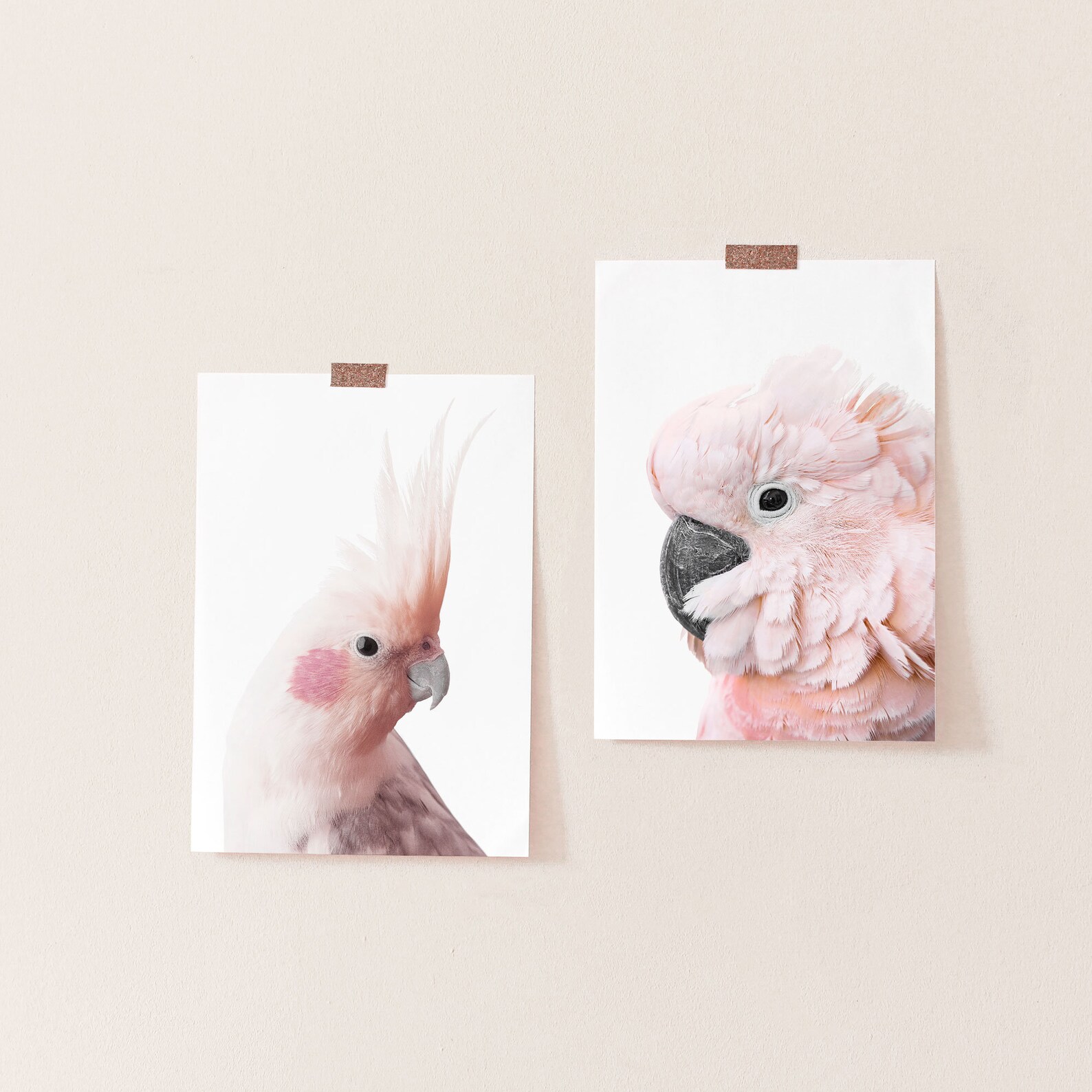 Cockatoo Print Set of 2 Pink Parrot Print Printable Art - Etsy