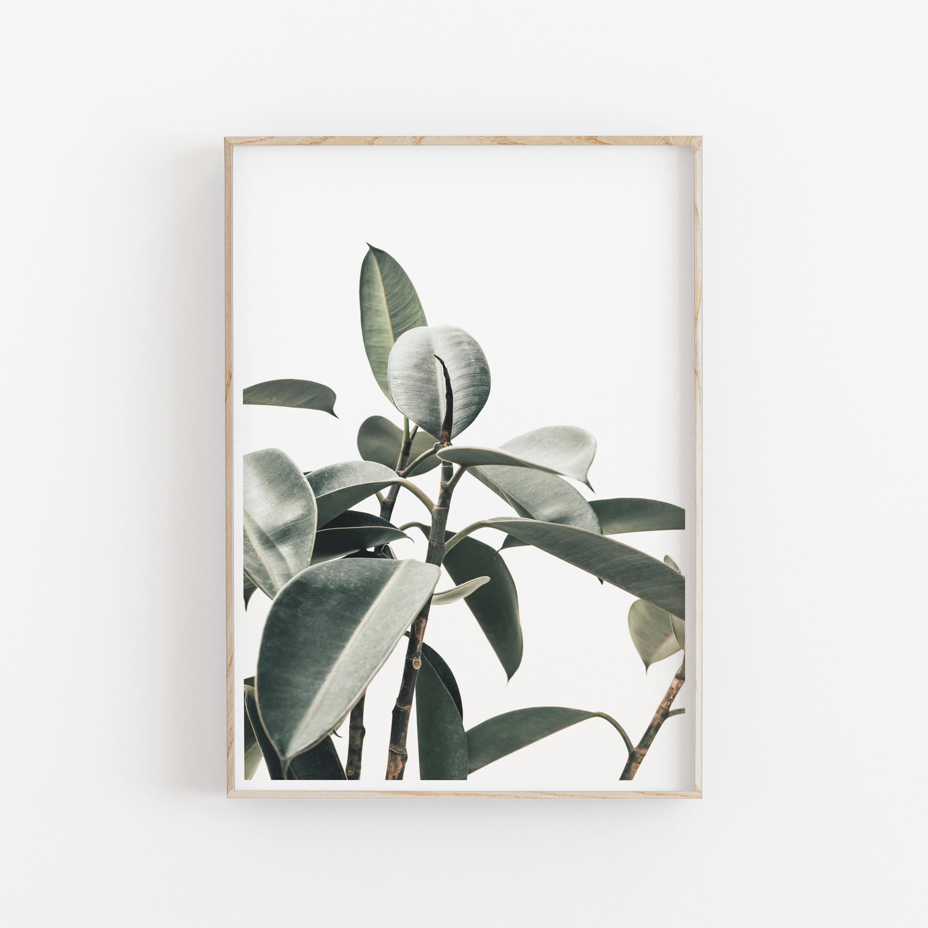 Botanical Print Set of 4 Botanical Print Printable Art - Etsy