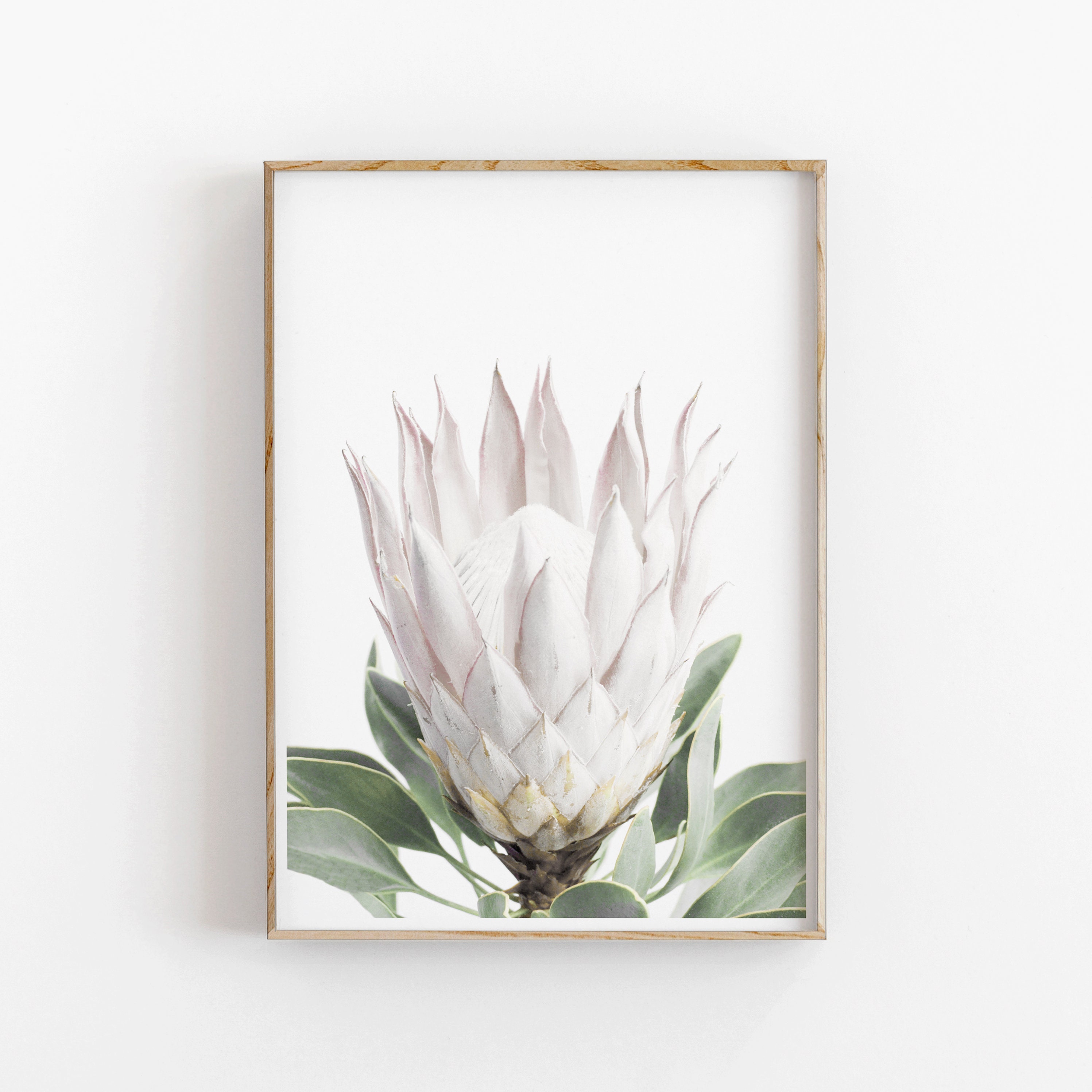 White Protea Print Set of 3 Flower Print Printable Art | Etsy