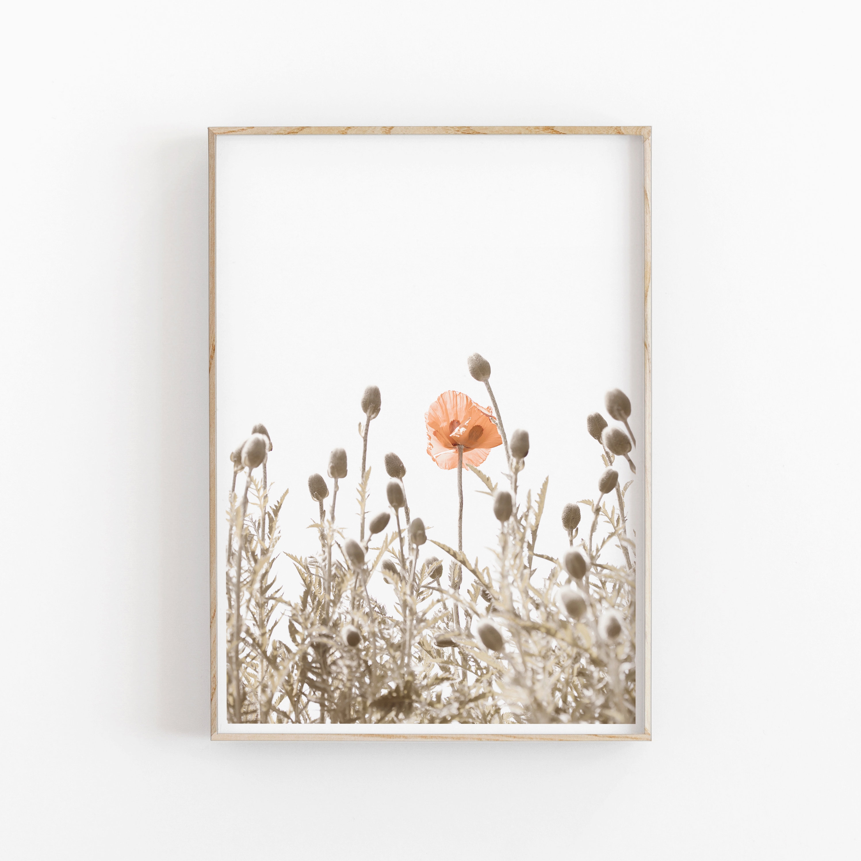 Poppy Print Set of 3 Flower Print Printable Art INSTANT - Etsy Canada