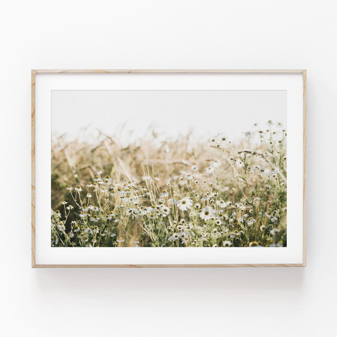 Meadow Landscape Print, Grass Wall Art, PRINTABLE Art, Photography ...
