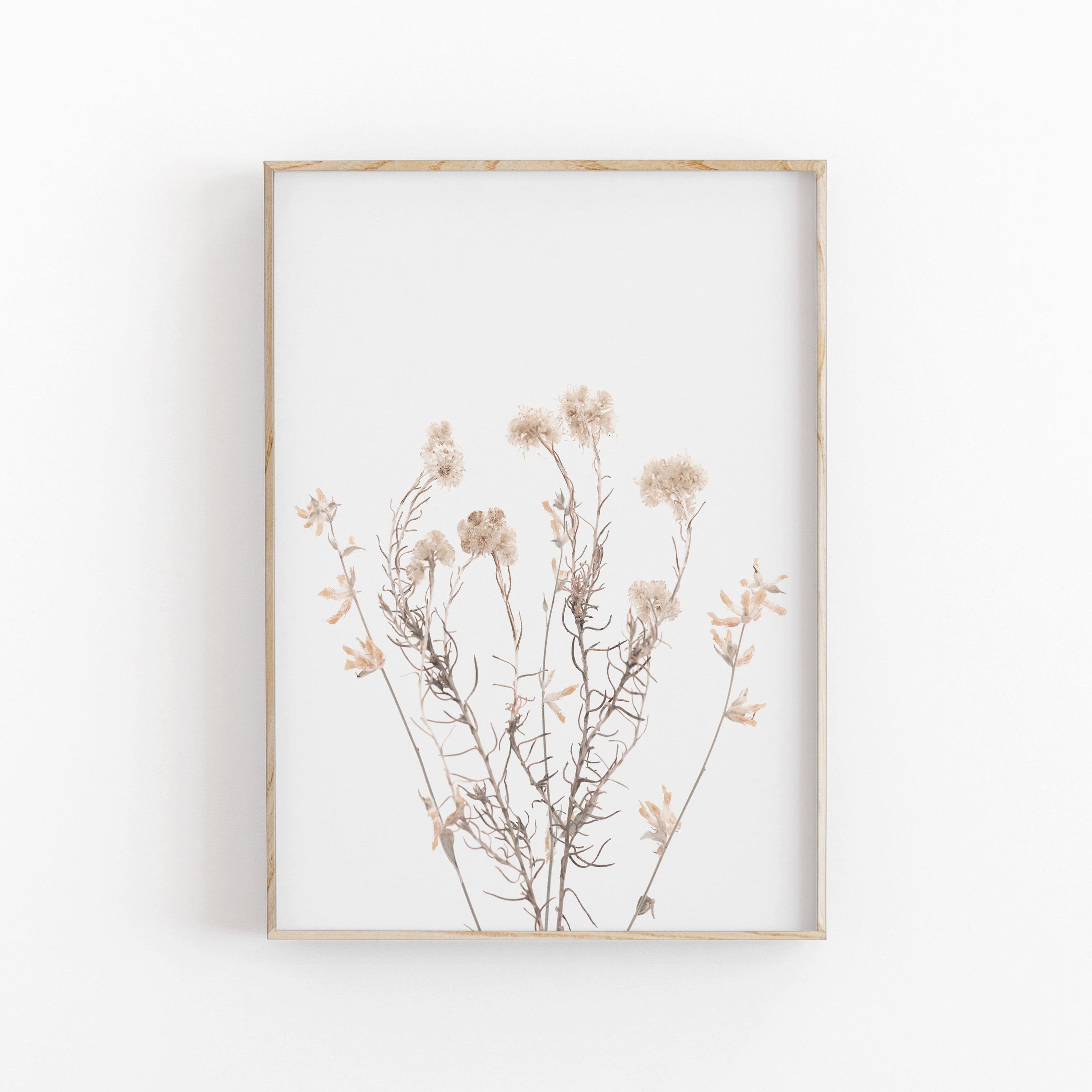 Botanical Print Set of 3 Dried Grass Print Printable Art - Etsy