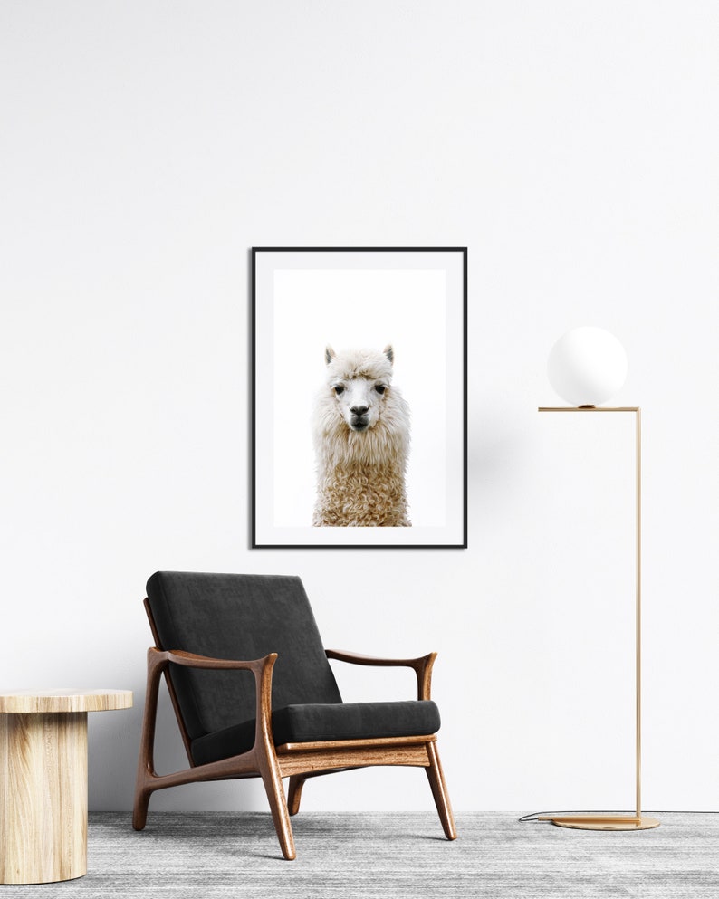 Llama Print Alpaca Art INSTANT DOWNLOAD Modern Minimalist - Etsy