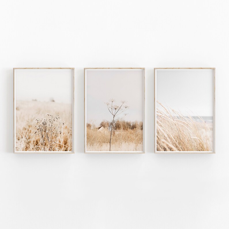 Botanical Print Set of 3 Dried Grass Print Printable Art | Etsy
