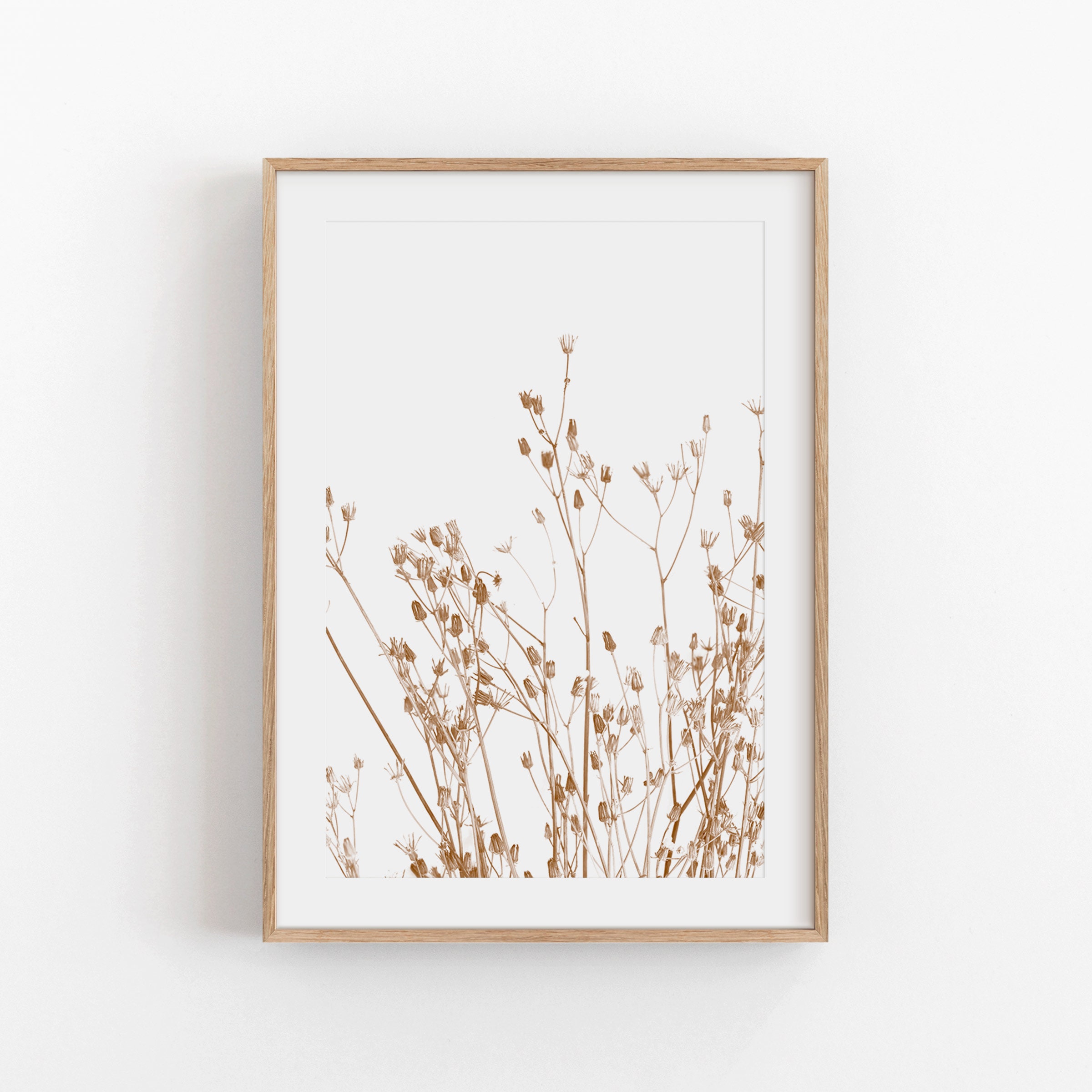 Botanical Print Set of 3 Dried Grass Print Printable Art - Etsy
