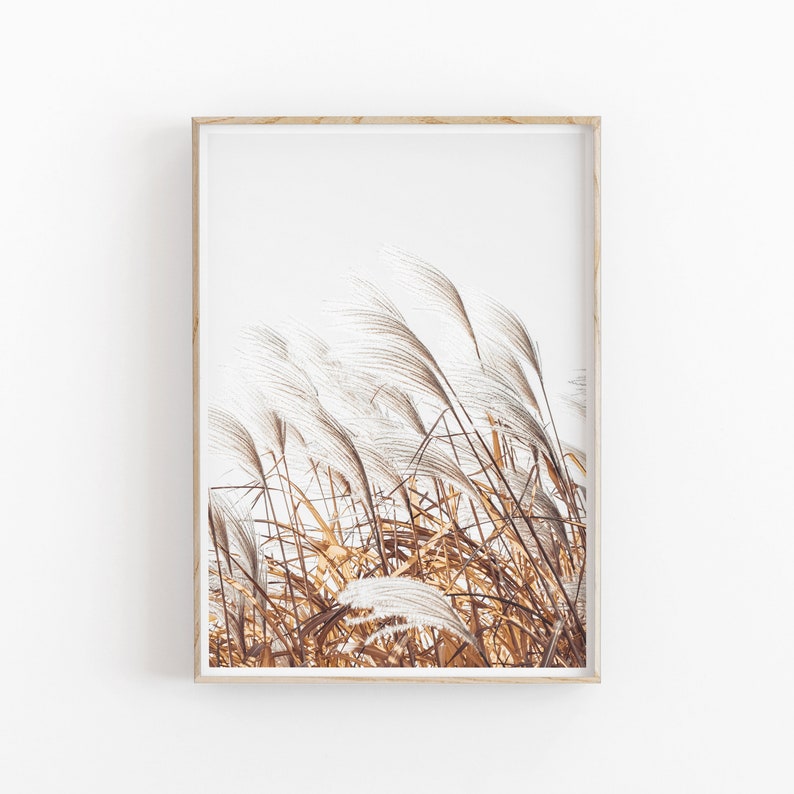 Nature Print Set of 3 Dried Grass Print Printable Art - Etsy