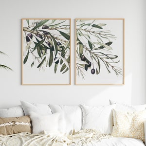 Botanical Print Set of 2, Olive Branch Wall Art, PRINTABLE Art ...