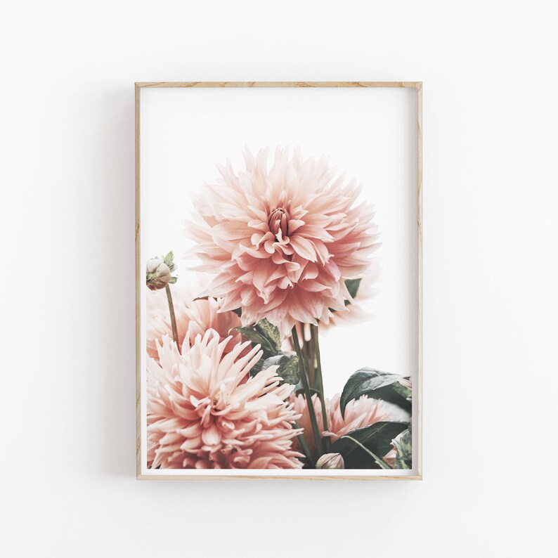 Dahlia Print Flower Wall Art INSTANT DOWNLOAD Modern - Etsy